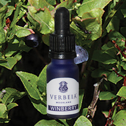 Winberry – Yorkshire Flower Essences